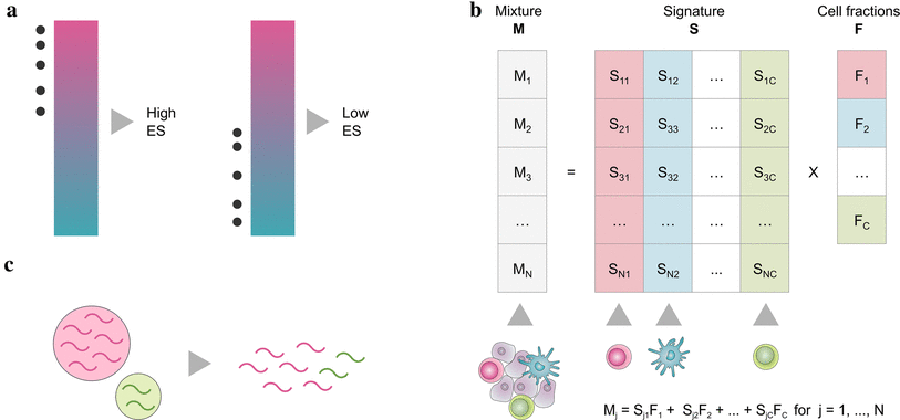 Provides curated, ready-to-run notebooks, multi-omics data, and ...