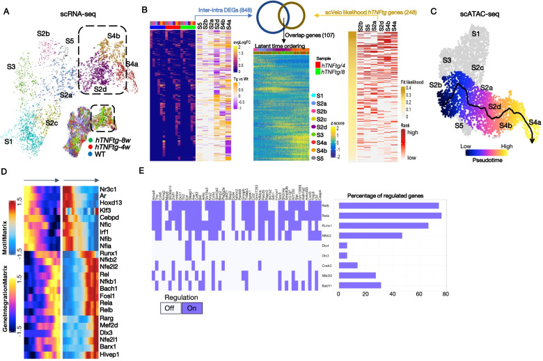 Fast, sensitive and accurate integration of single-cell data with Harmony