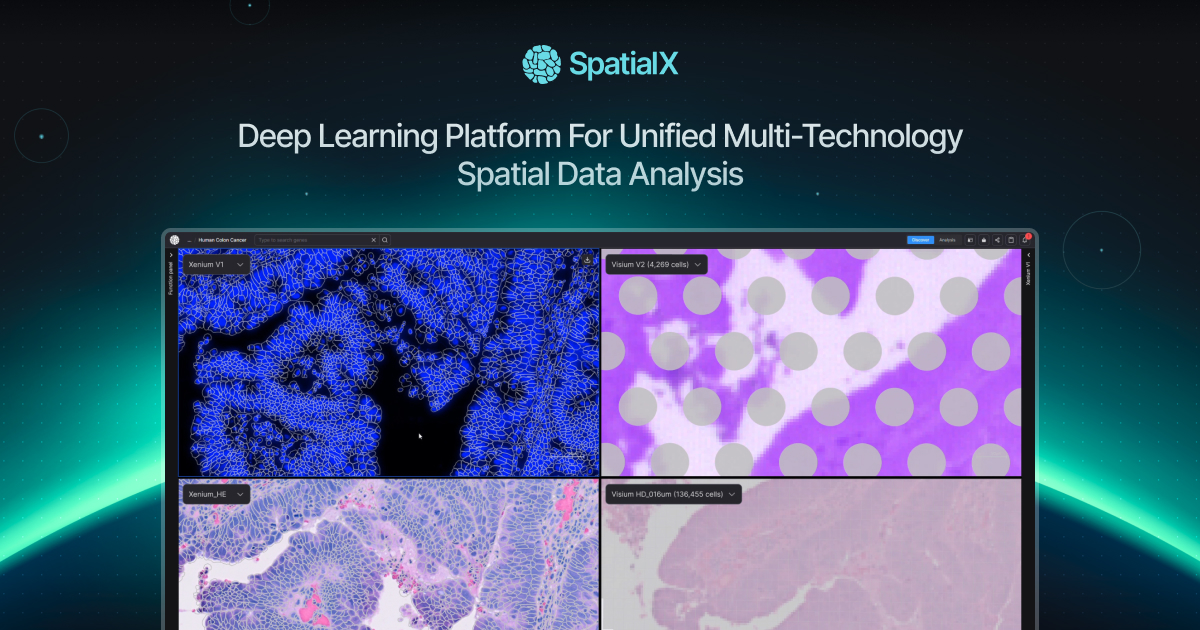 SpatialX - BioTuring