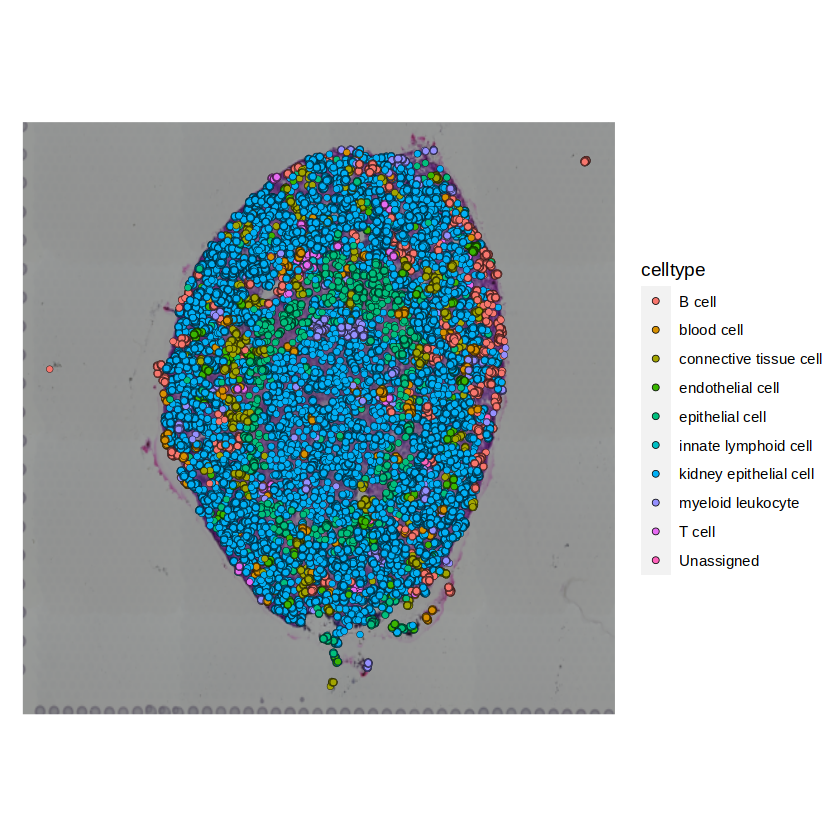 Spatial charting of single-cell transcriptomes in tissues - celltrek
