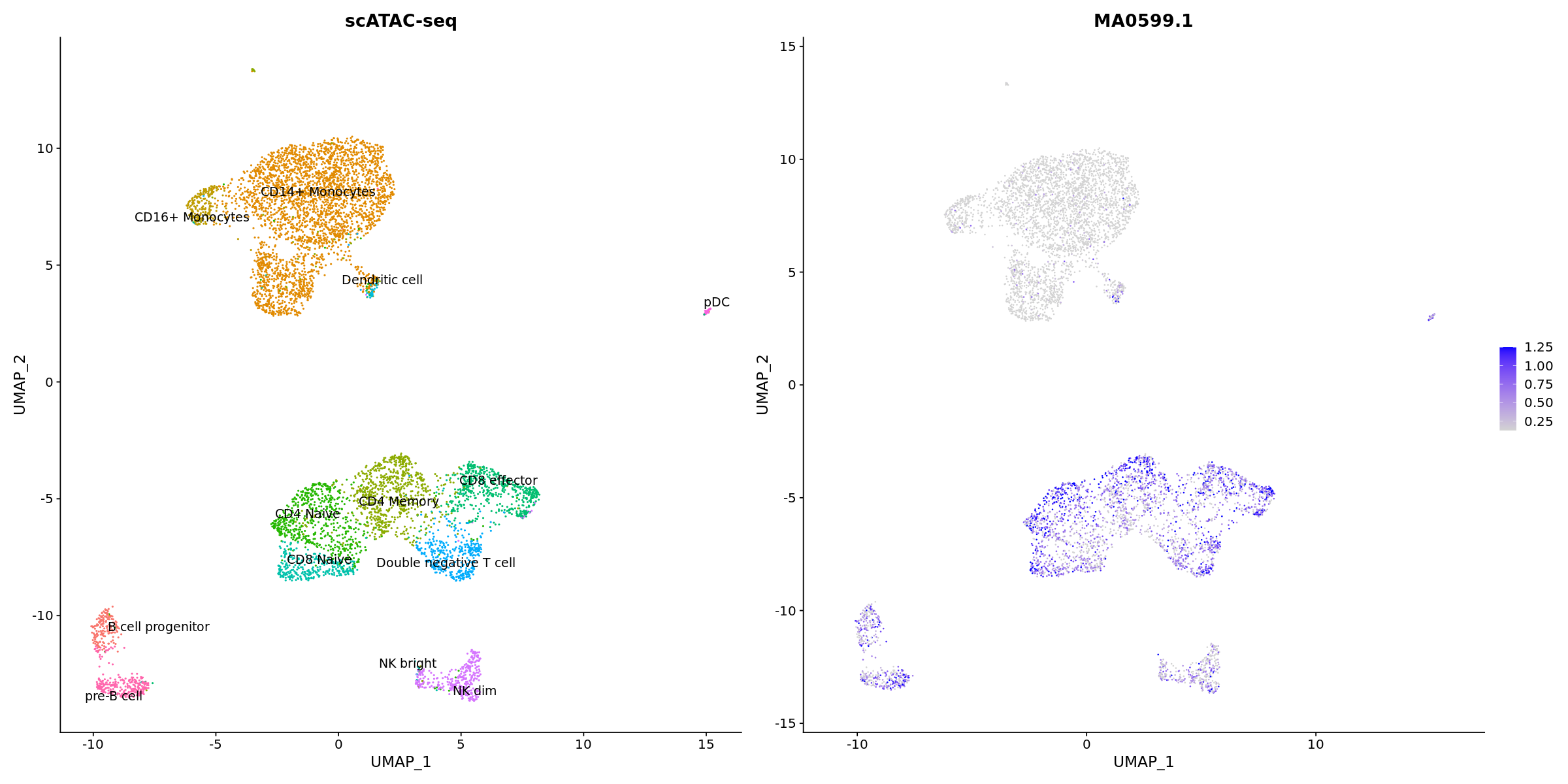 Multimodal Single Cell Chromatin Analysis With Signac