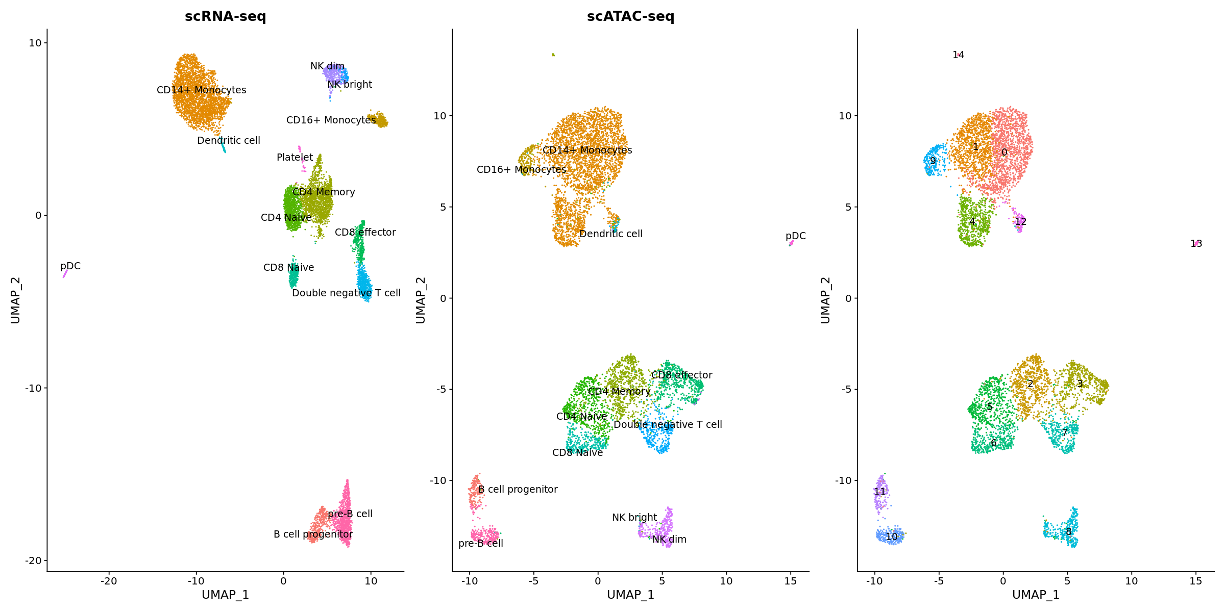 Multimodal Single Cell Chromatin Analysis With Signac