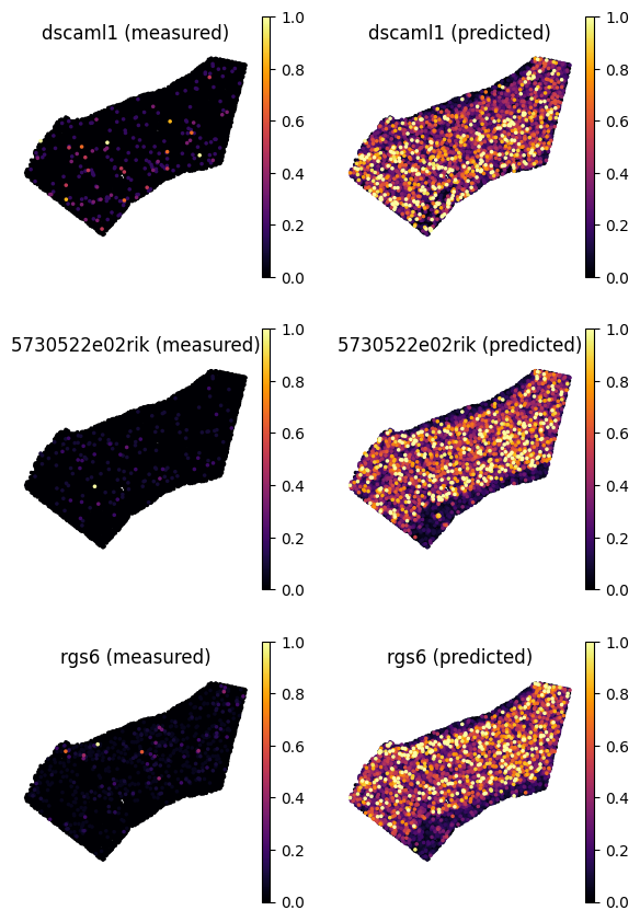 Deep learning and alignment of spatially resolved single-cell transcriptomes with Tangram