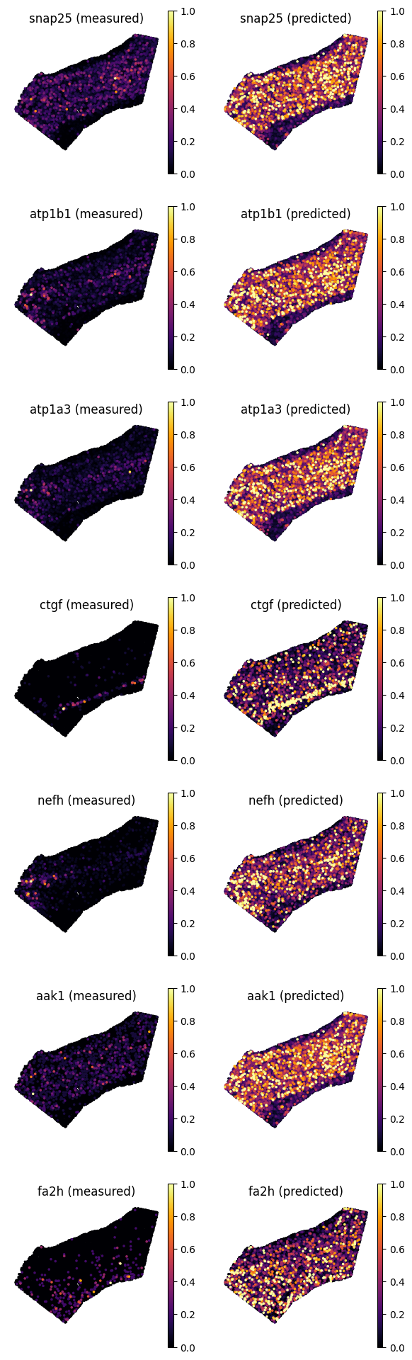 Deep learning and alignment of spatially resolved single-cell transcriptomes with Tangram