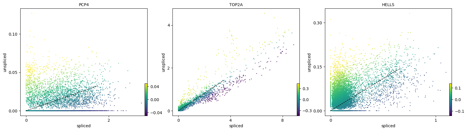 Generalizing RNA velocity to transient cell states through dynamical ...